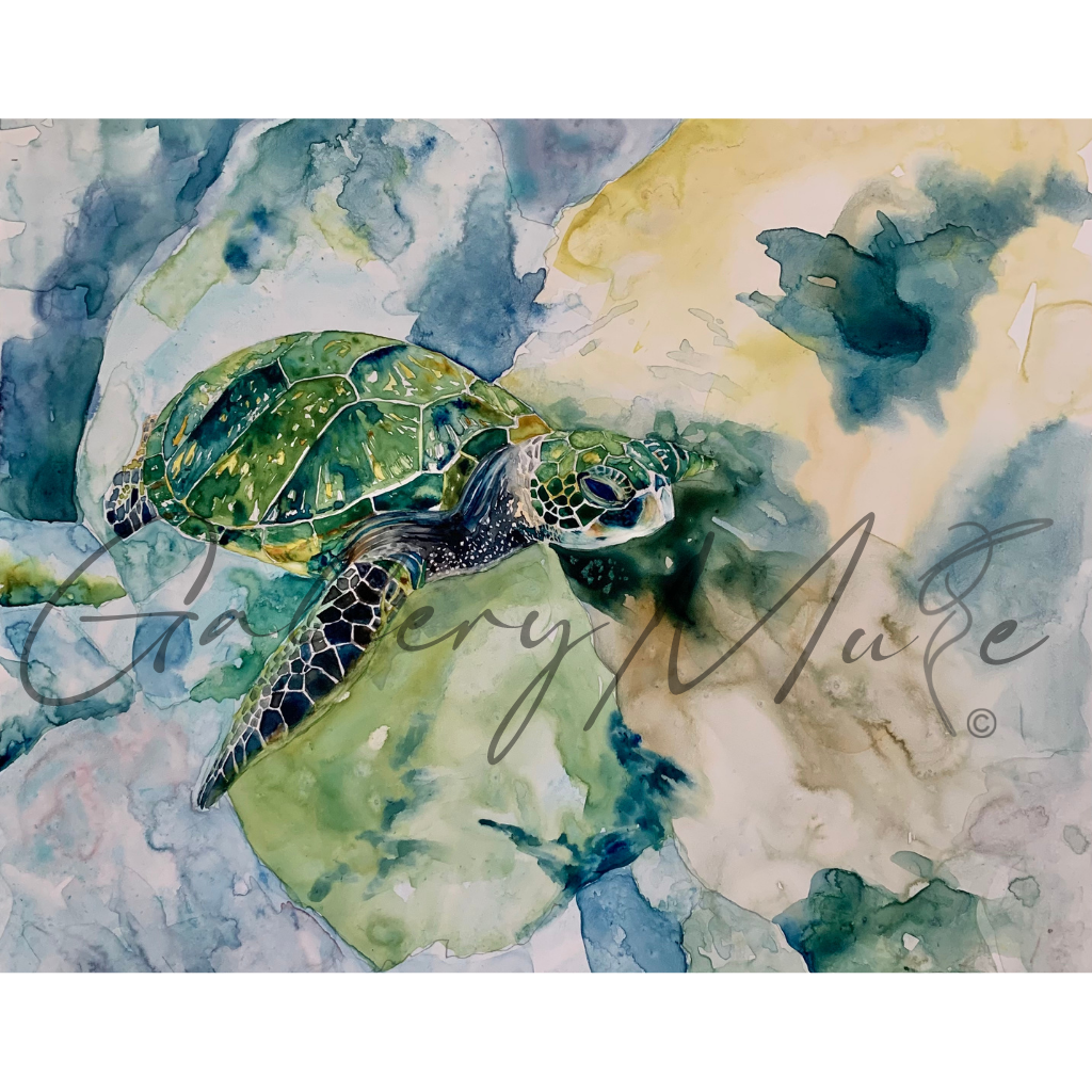 Lisa’s Turtle – GalleryMuse